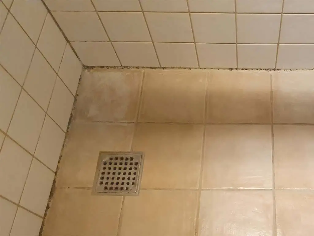 Fugning af badeværelse | Fuge Manden ApS | 22 14 53 54